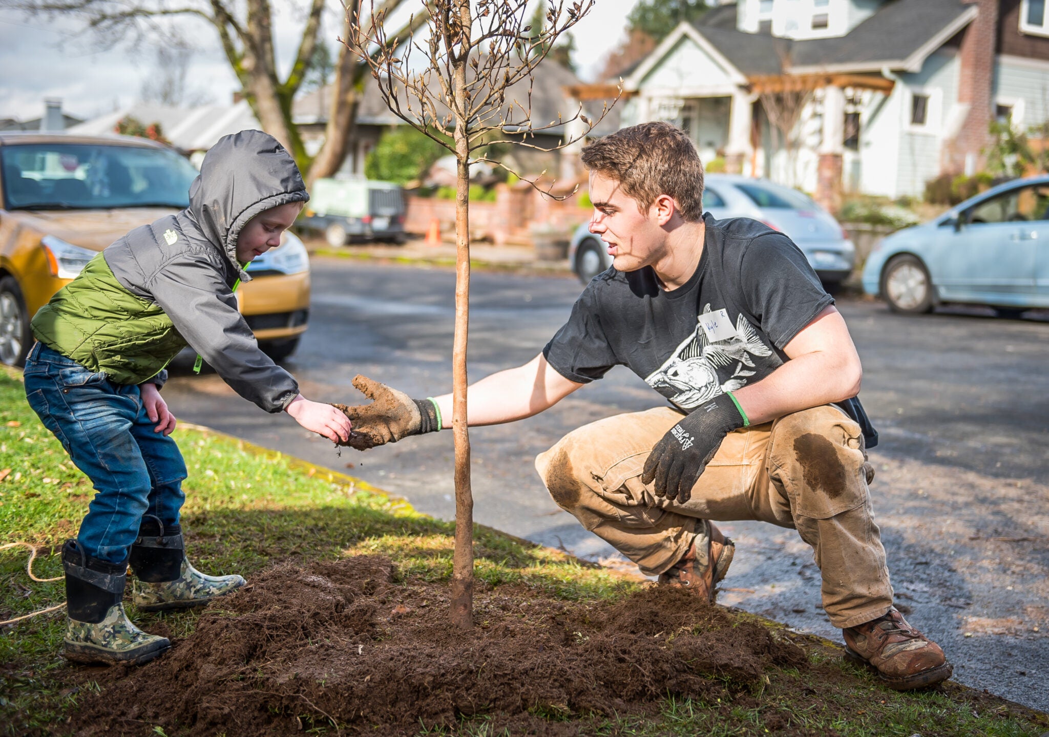 Tree Care and Proper Pruning -The City of Vancouver, WA
